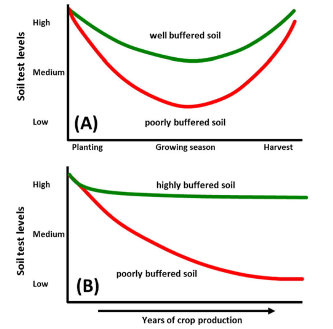 1.04.311 Phosphorus Transformations in the Soil | The ServiTech Crop File