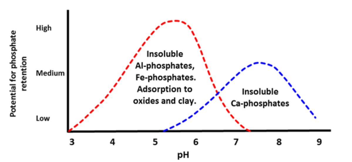 1.04.311 Phosphorus Transformations in the Soil | The ServiTech Crop File