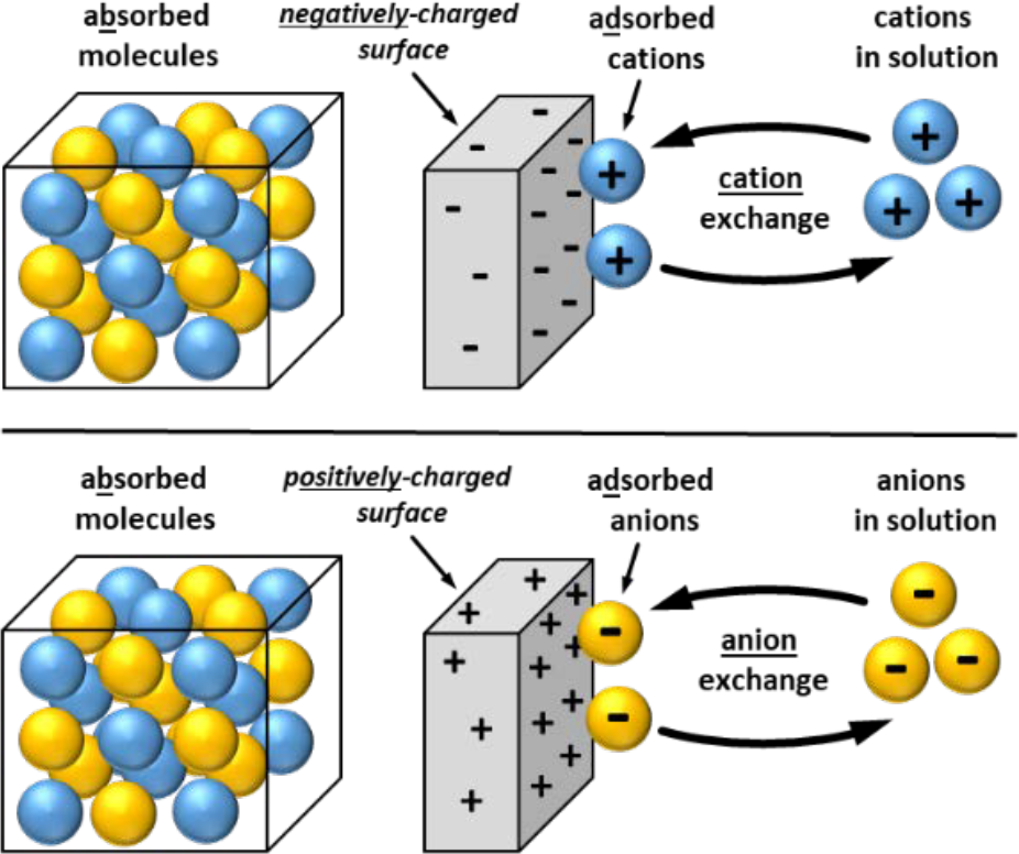 1.05.100 Cation-Anion Exchange | ServiTech's Cultivated Knowledge