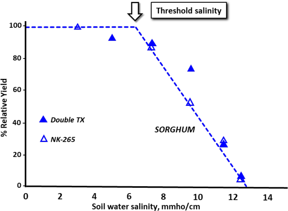 4.03.022 Crop Salt Tolerance | ServiTech's Cultivated Knowledge