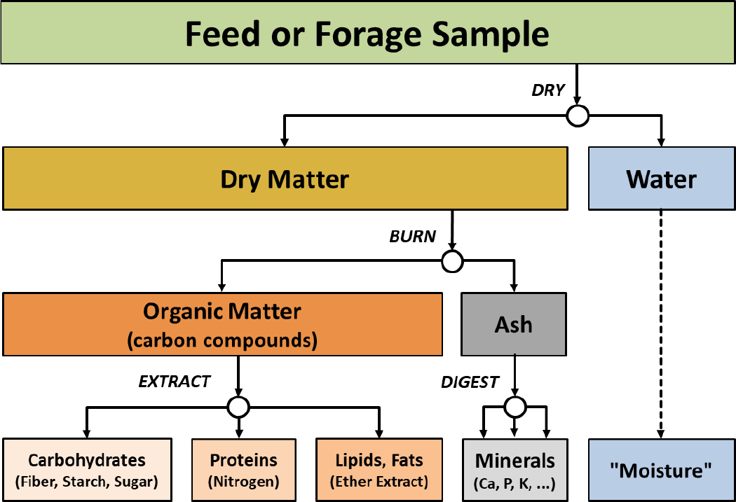 6.01.015 Testing Feedstuffs and Forages | ServiTech's Cultivated Knowledge